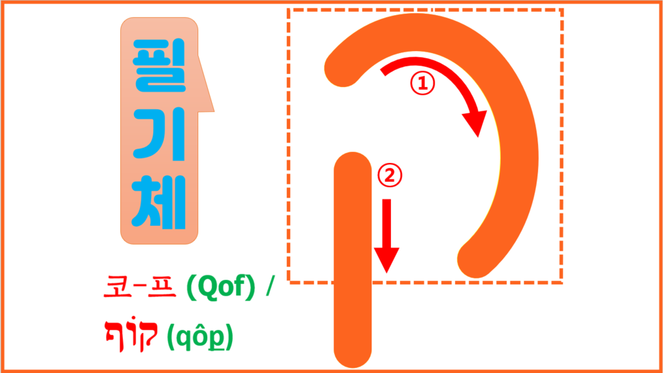 【김동규의 히브리어 특강】 성서 히브리어 열아홉 번째 글자 코프와 12개 글자